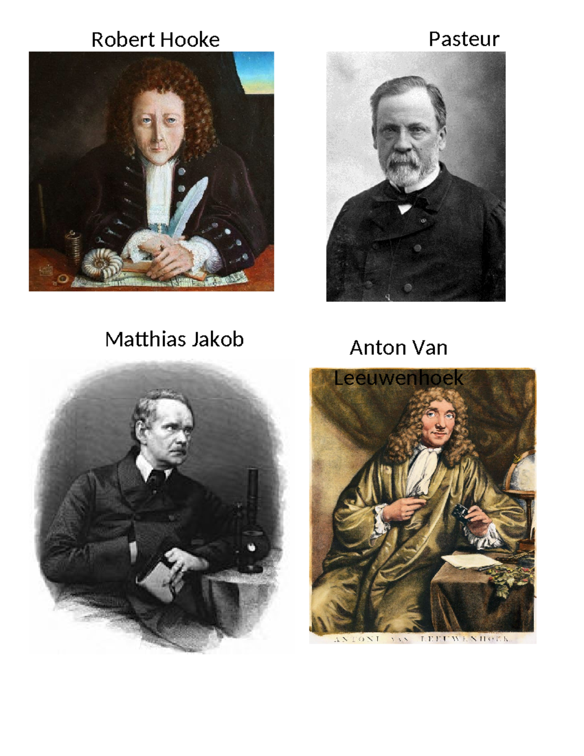 Aportes Científicos y Teorías de Robert Hooke y Contemporáneos - Studocu