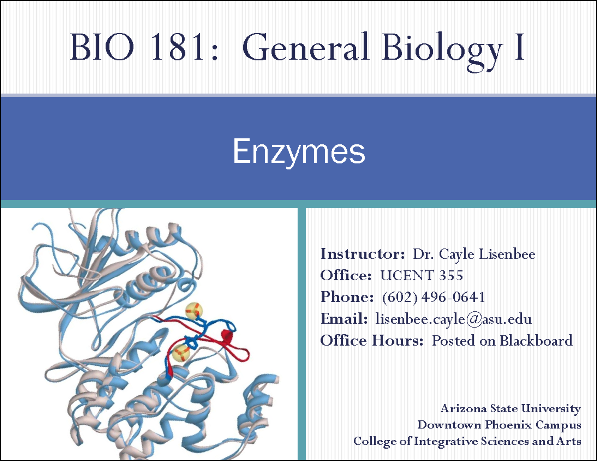 Lecture 08 Enzymes In Bio 181 General Biology I Fall 2020 Studocu