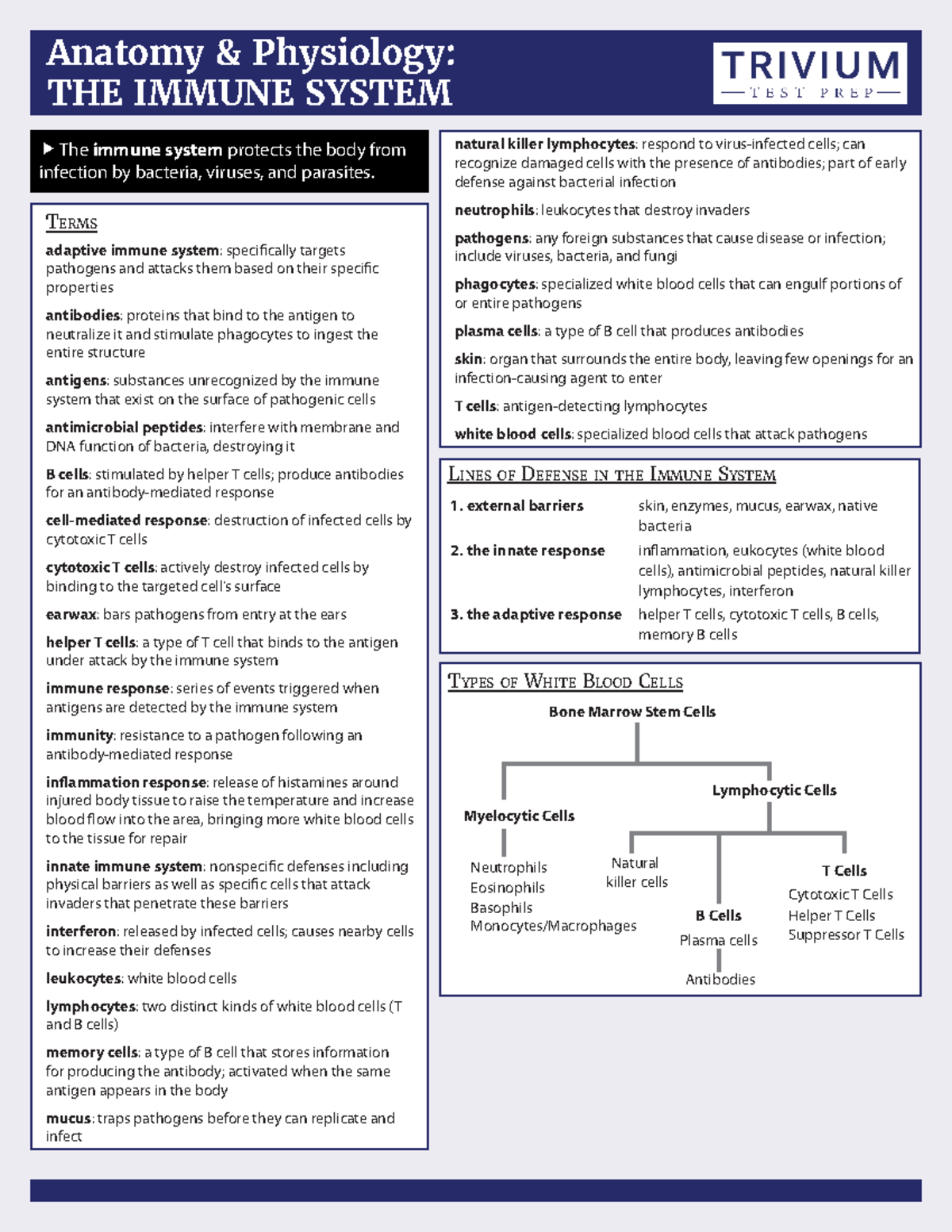 Immune system - Anaphy Cheat Sheet (terms) - Anatomy and Physiology ...