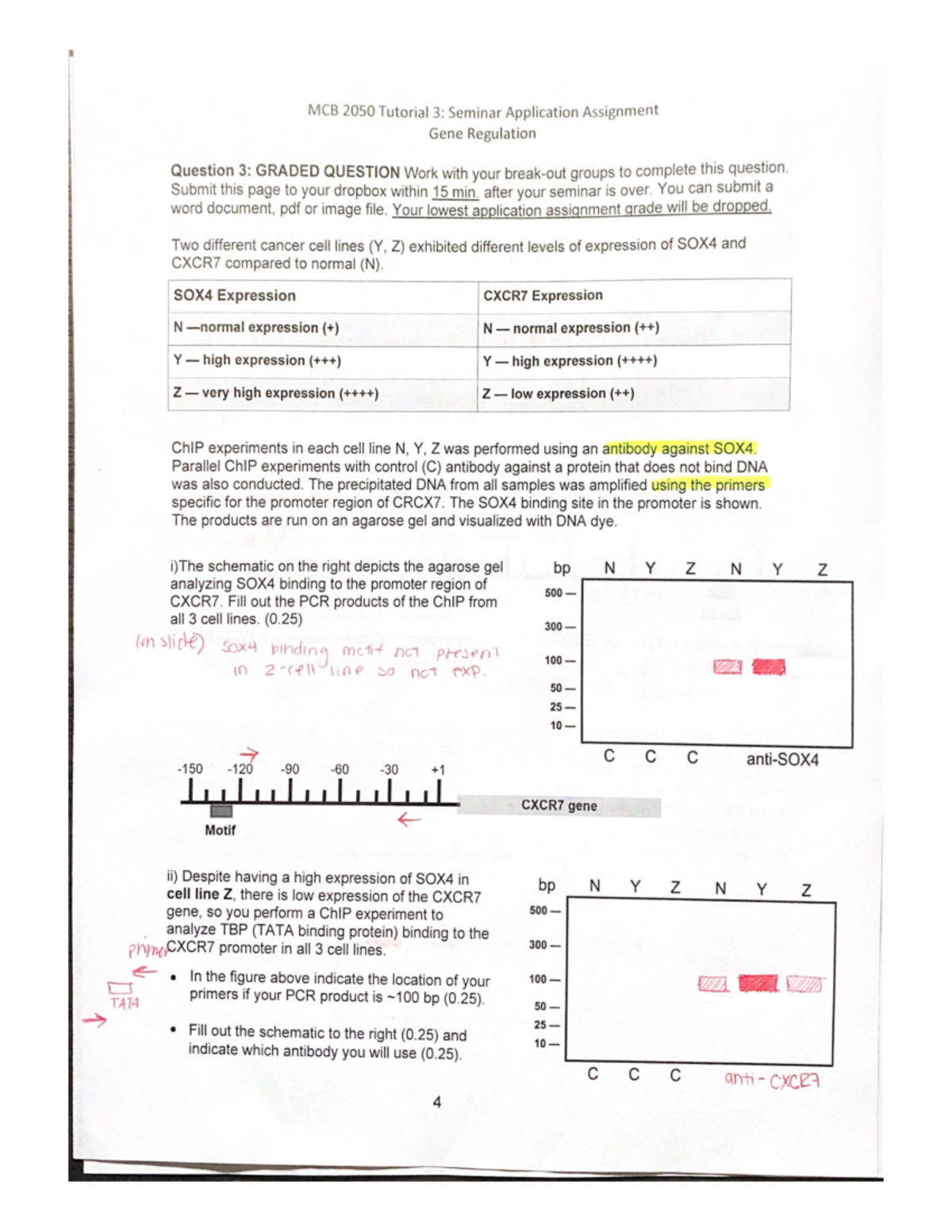 MCB 2050 Tutorial 3: Key Concepts and Discussion Points - Studocu