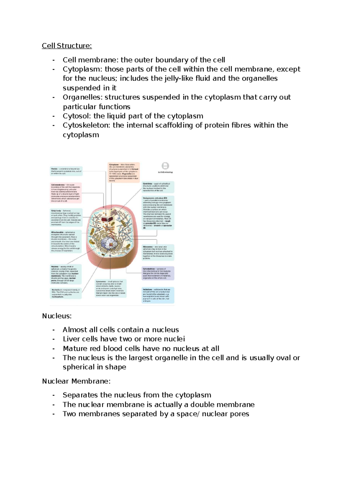 Cell Structure: Overview of Organelles and Their Functions - Studocu