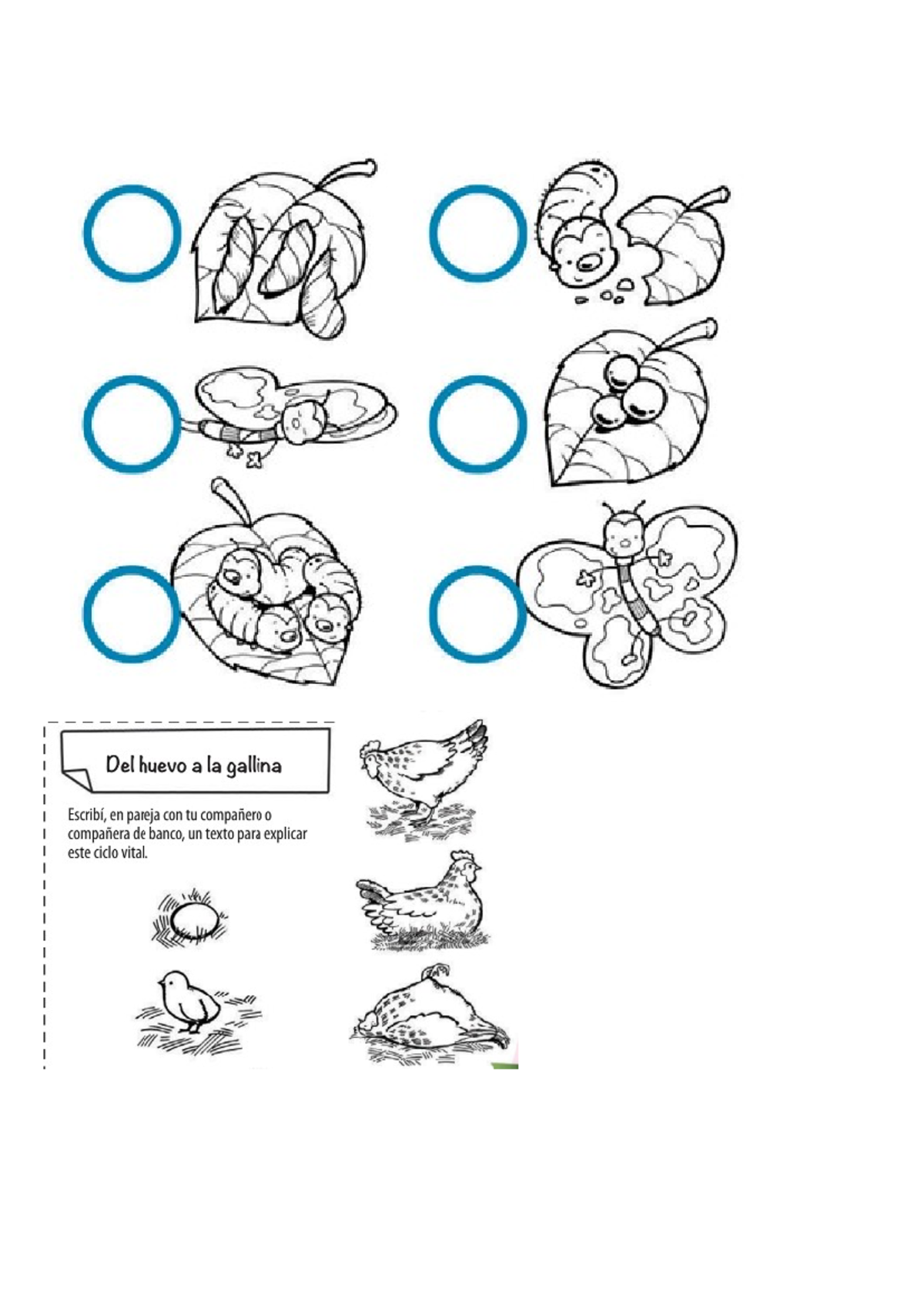 Material 1° - Actividades sobre Ciclos Vitales de Animales y Plantas ...