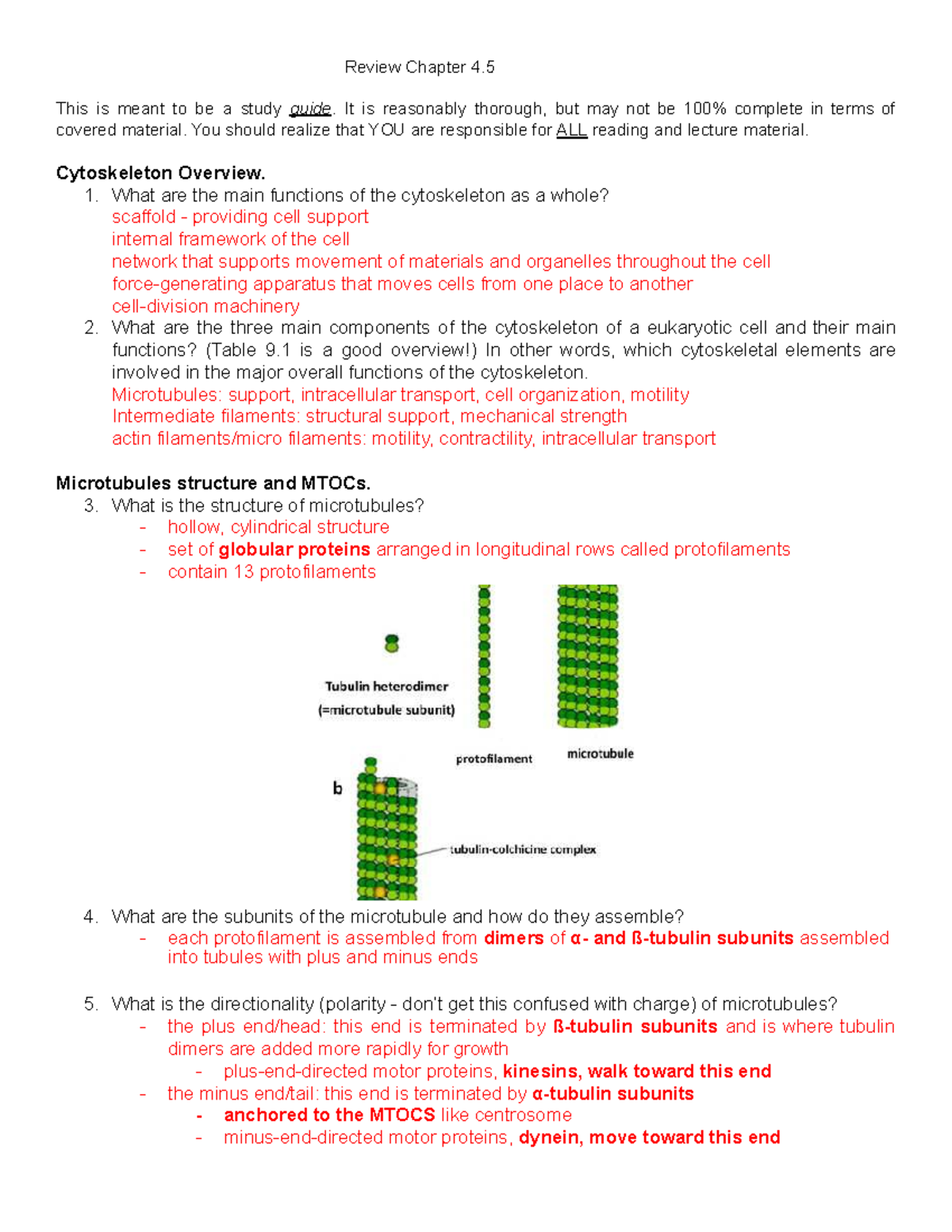 Cytoskeleton Overview and Dynamics - Study Guide for Bio 101 Lab - Studocu