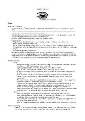 Directional Terms Practice - Directional Terms Practice Complete the ...