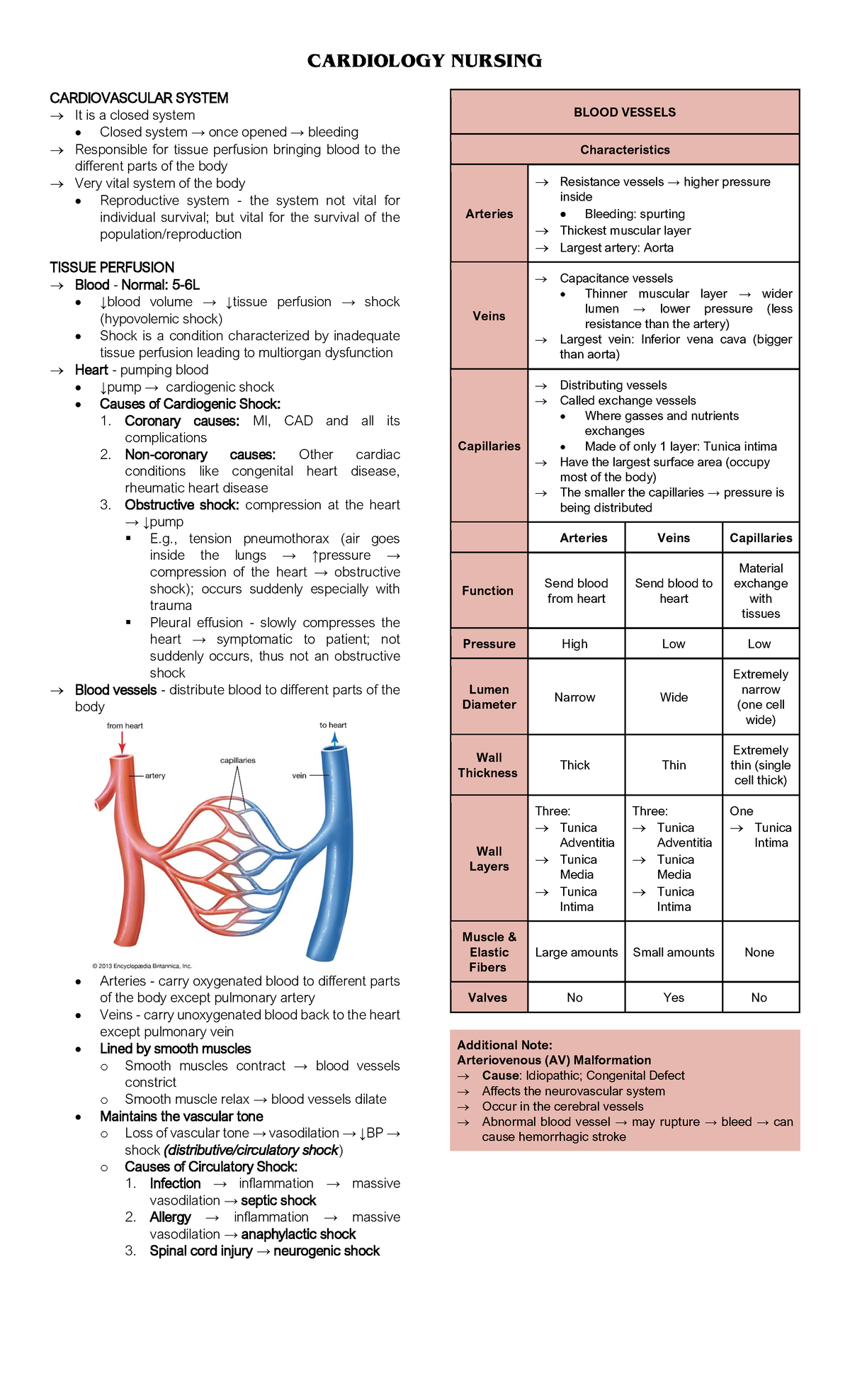 Cardiology Nursing Review Material for Exam - Study Guide - Studocu