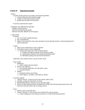 [Solved] Im hungry I eat a snack by lifting popcorn from a bowl to my ...