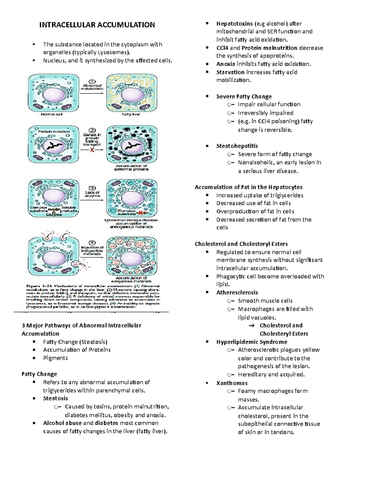 Intracellular- Accumulations-in-Histological-Findings - INTRACELLULAR ...