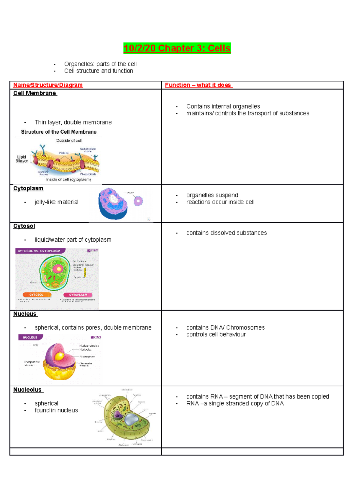 Cells Structure and Function Overview: Chapter 3 Insights - Studeersnel