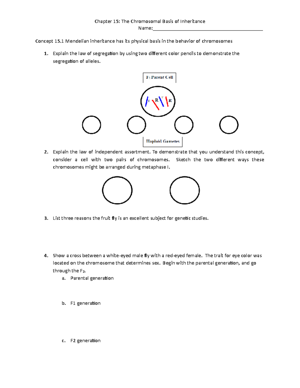 Chapter 15 reading guide 2017 - Chapter 15: The Chromosomal Basis of ...