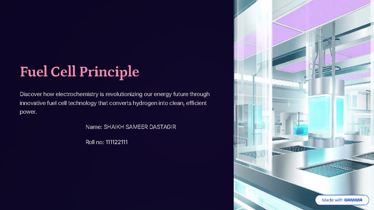 Fuel Cell Principle: Understanding Electrochemical Energy Conversion ...