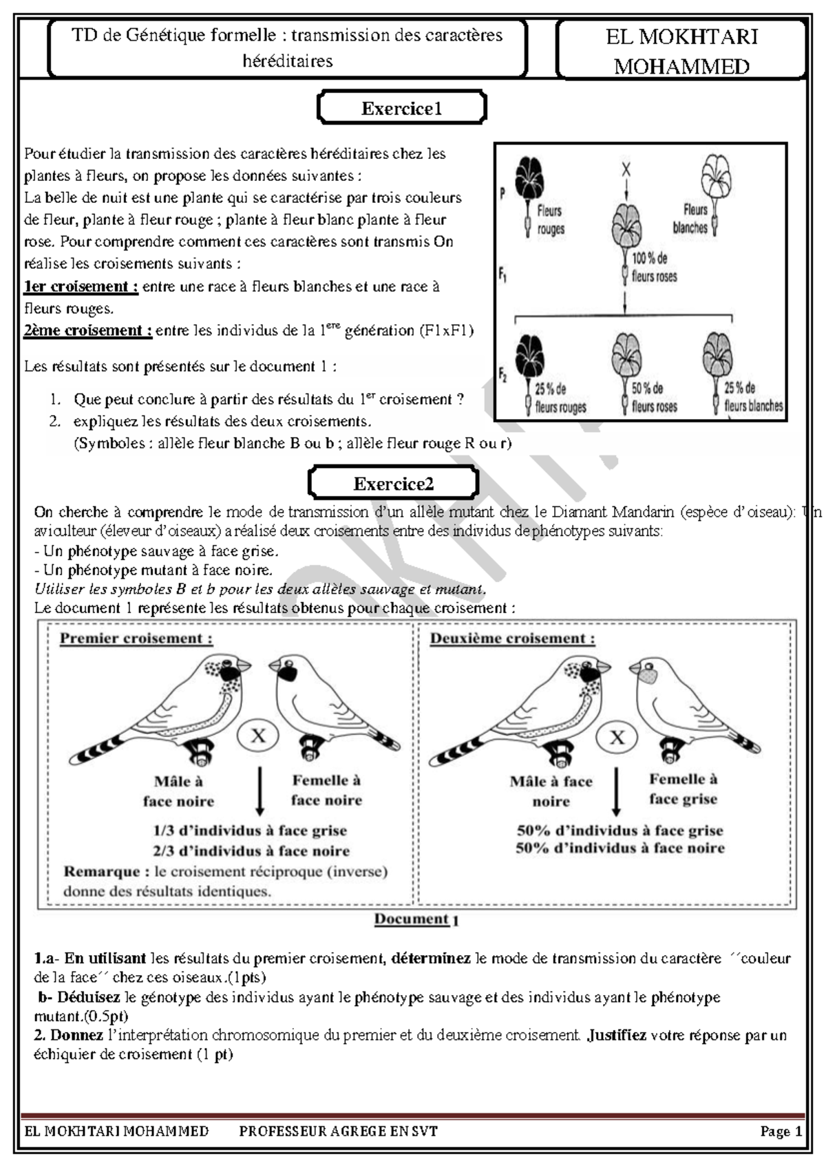 TD de Génétique Formelle : Transmission des Caractères Héréditaires ...