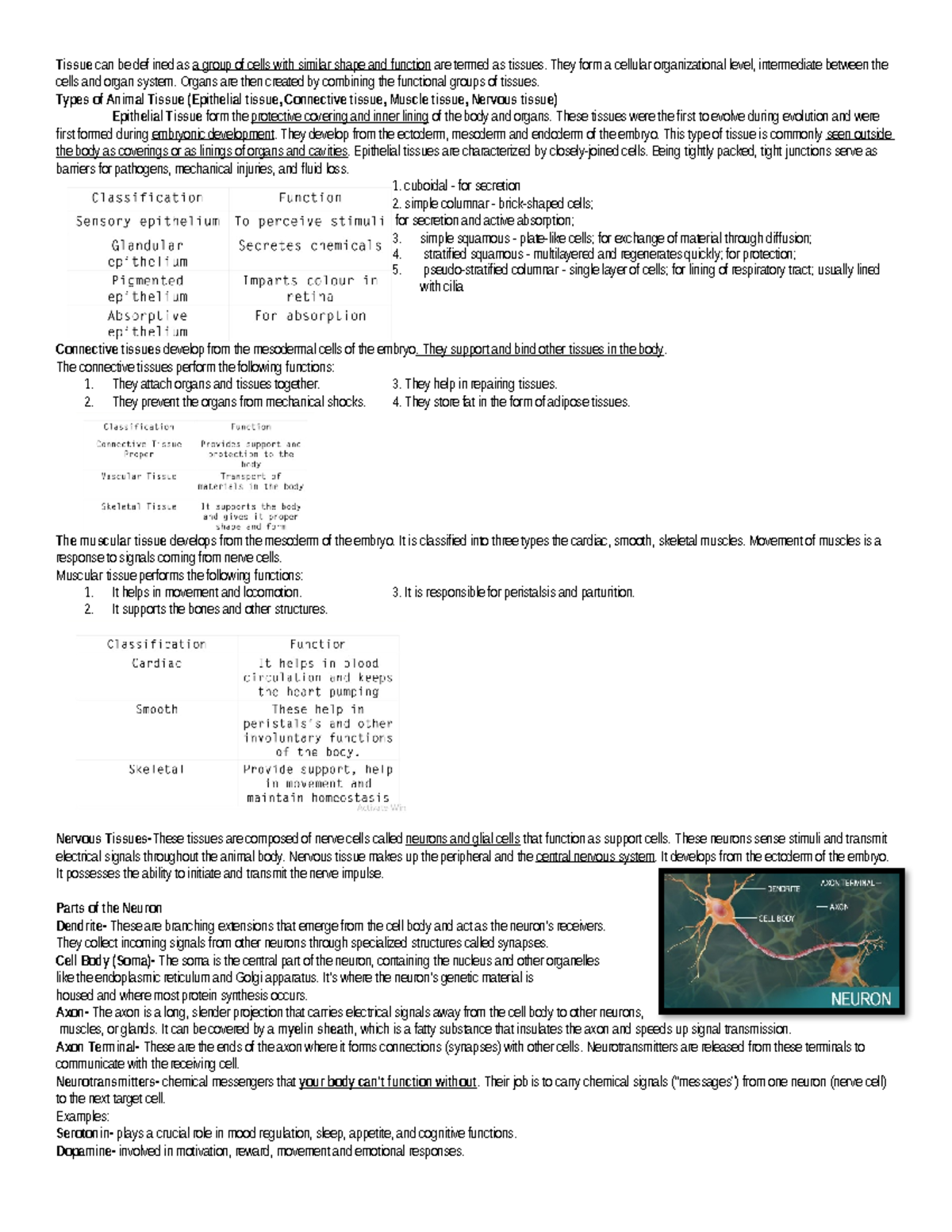 2ND-BIO Handout: Overview of Animal Tissue Types and Functions - Studocu