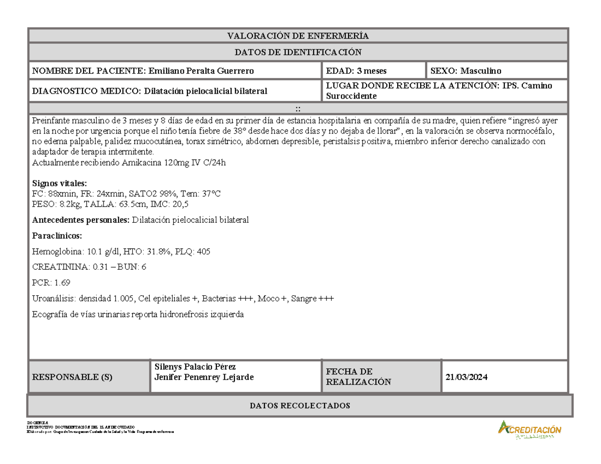 PAE preinfante- Dx. IVU - VALORACIÓN DE ENFERMERÍA DATOS DE ...