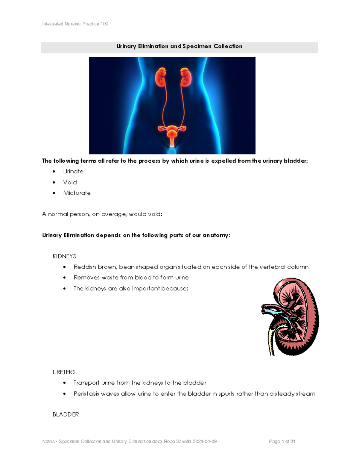 Integrated Nursing Practice 100: Urinary Elimination & Specimen ...