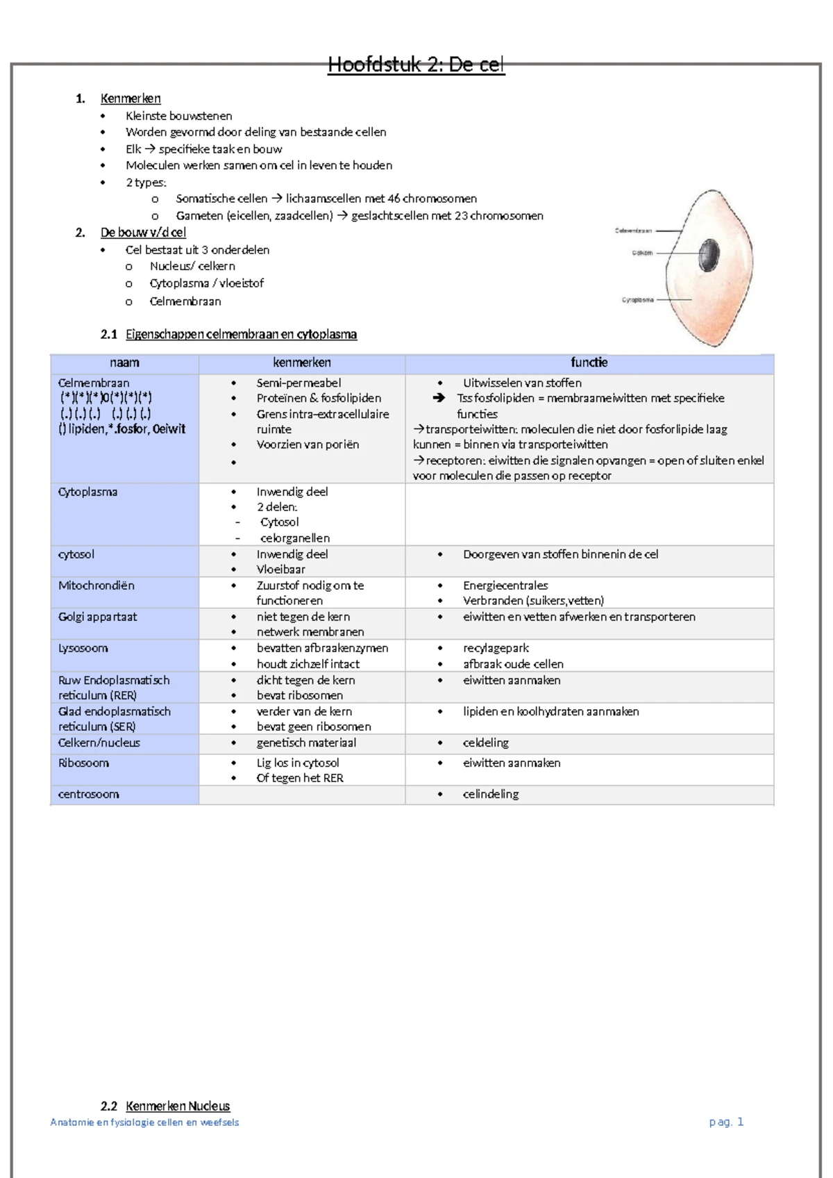 Medicaite pleister plakken - HUIDPLEISTERS Robiël Shimangus, Tom ...