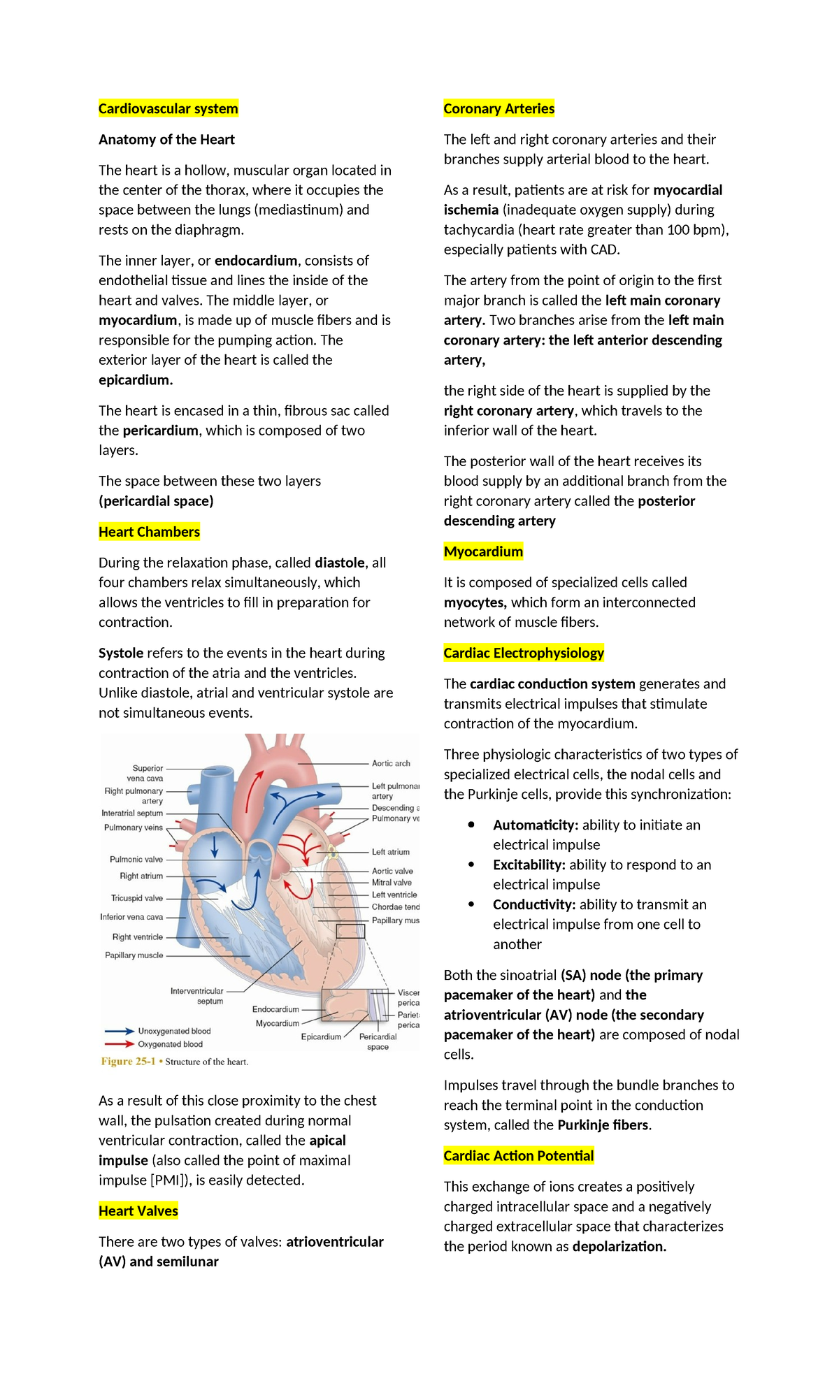Cardiovascular system - Cardiovascular system Anatomy of the Heart The ...