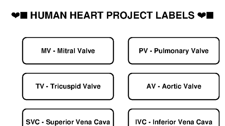 Heart Label Design Ayush Dark - Bachelor in Medicine and Bachelor's in ...