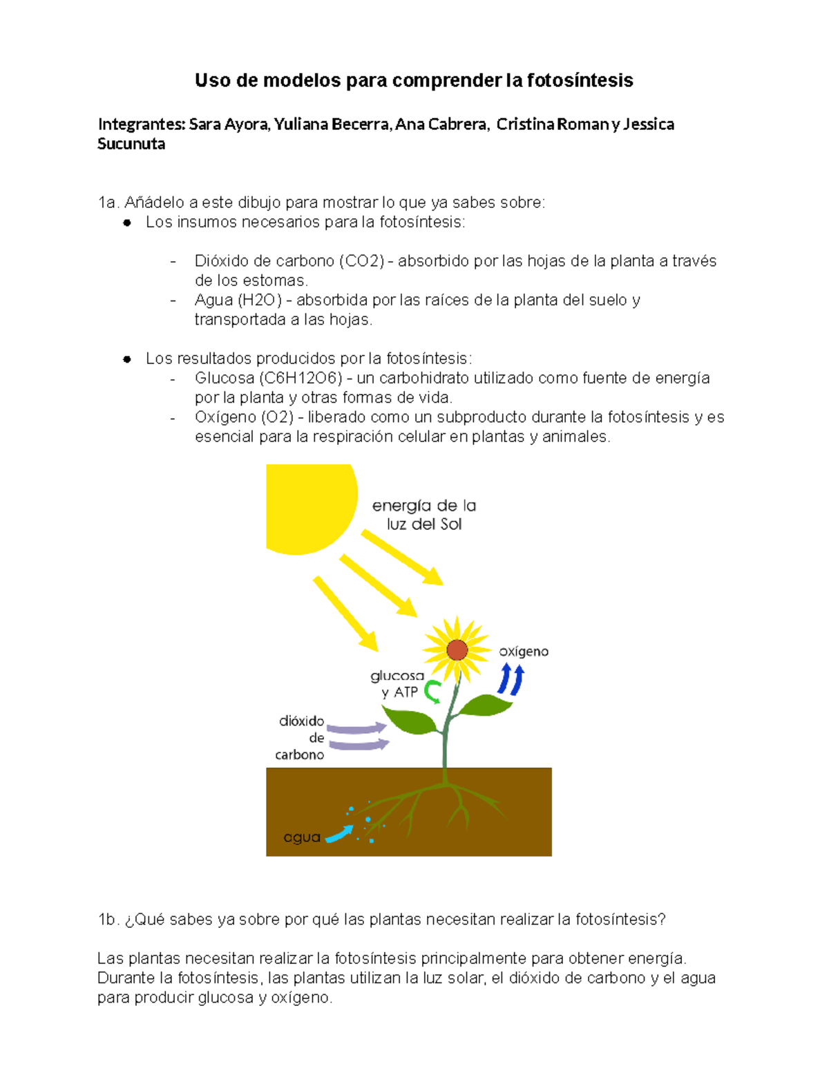 Hoja De Trabajo Del Diagrama De La Fotosíntesis