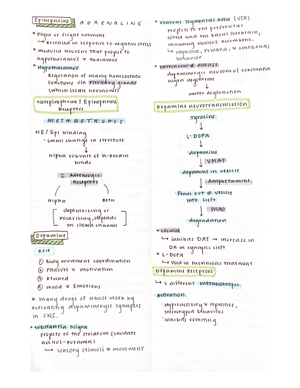 Slant and Broth Growth Patterns BIOZ-303-AOL-SP2023 - Microbiology ...