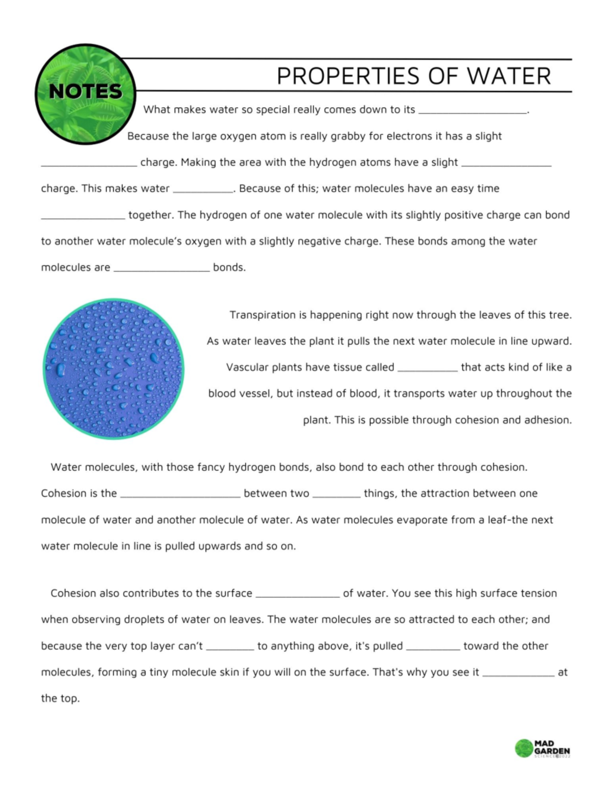 Water Properties Guided Notes with YT Video Answer Key - Studocu