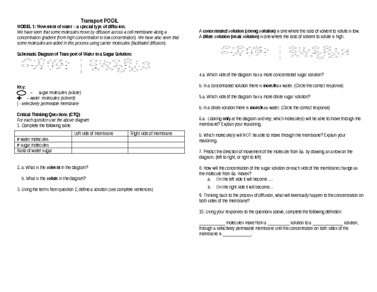Transport POGIL Model 1: Water Movement & Diffusion Analysis - Studocu