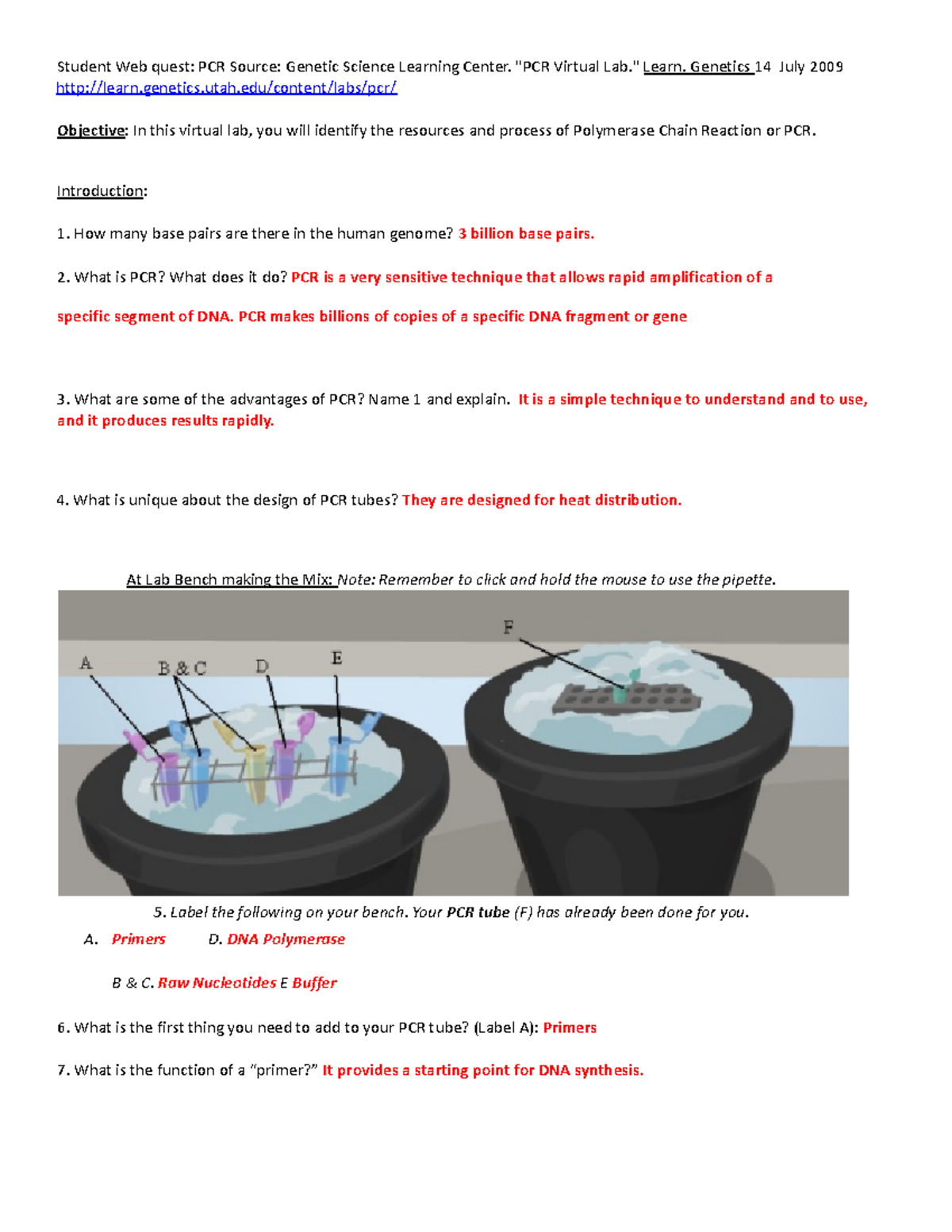 PCR Virtual Lab Sheet: Understanding Polymerase Chain Reaction - Studocu