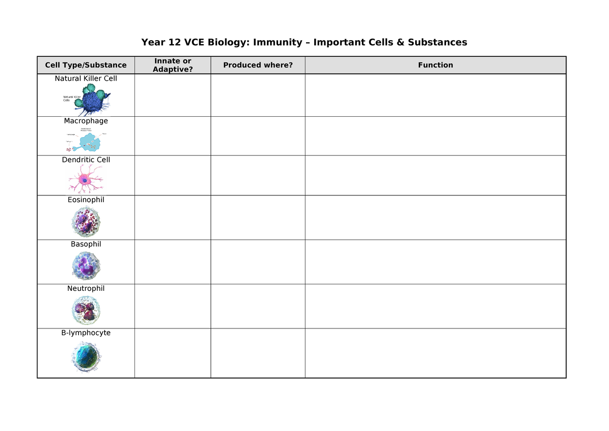 VCE Biology 3 AND 4 - Important Cells Empty Chart - Year 12 VCE Biology ...