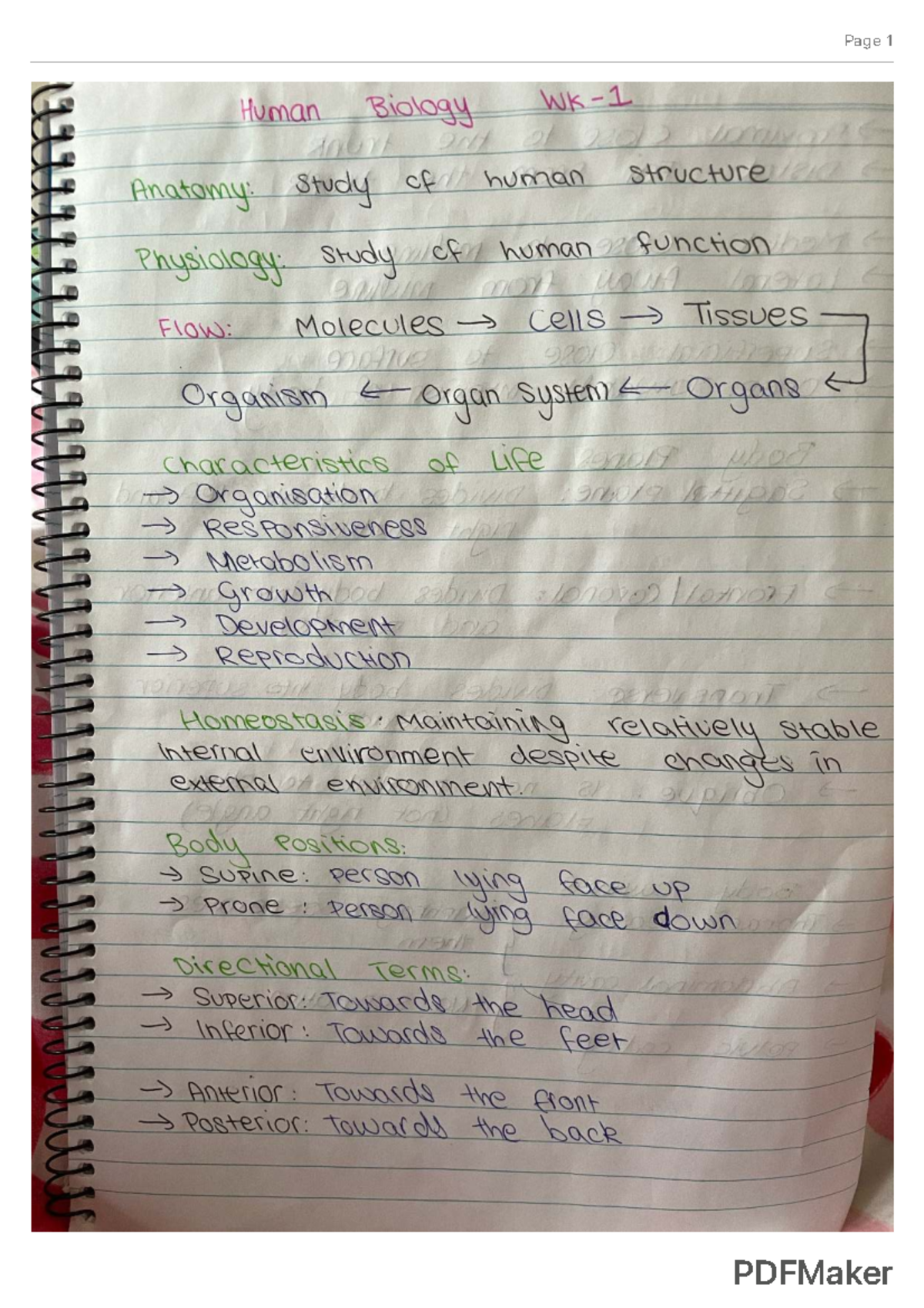 Human Biology 2201: Week 1 Anatomy & Physiology Notes - Studocu