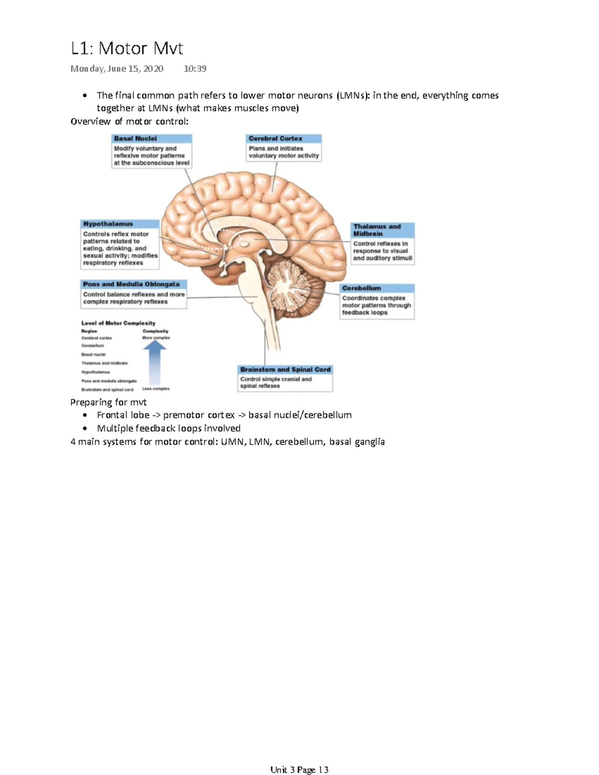 Unit 3 Lecture 1 Motor Control - The final common path refers to lower ...