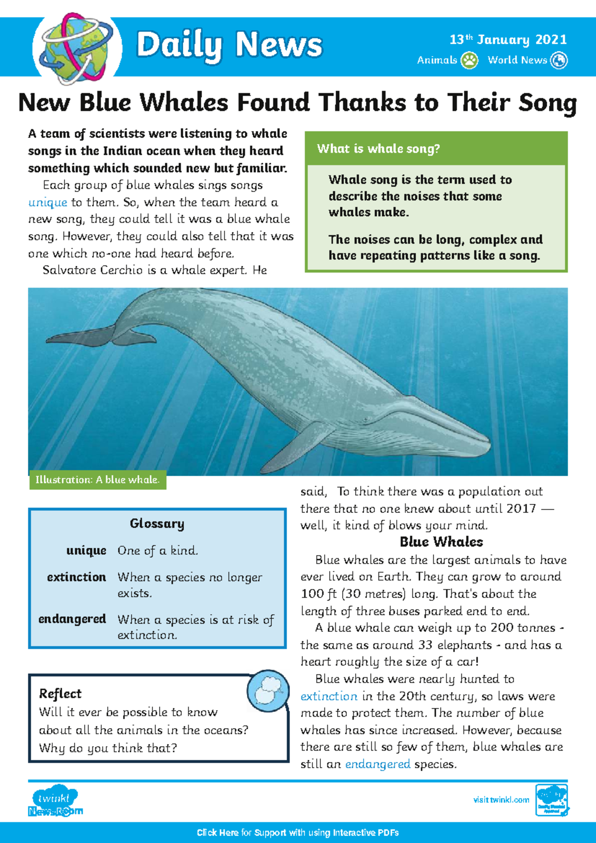 Daily Article - New Blue Whale Song Discovery - LKS2 (7-9) - Studocu