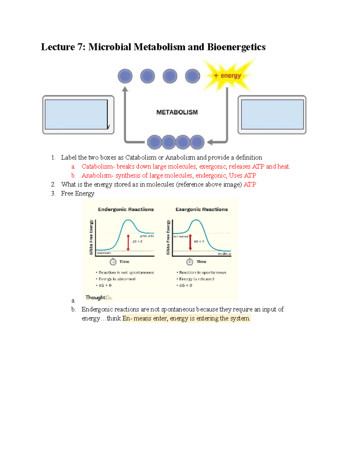 Microbial Metabolism Study Guide: Exam 2 Review Notes (BIO 101) - Studocu