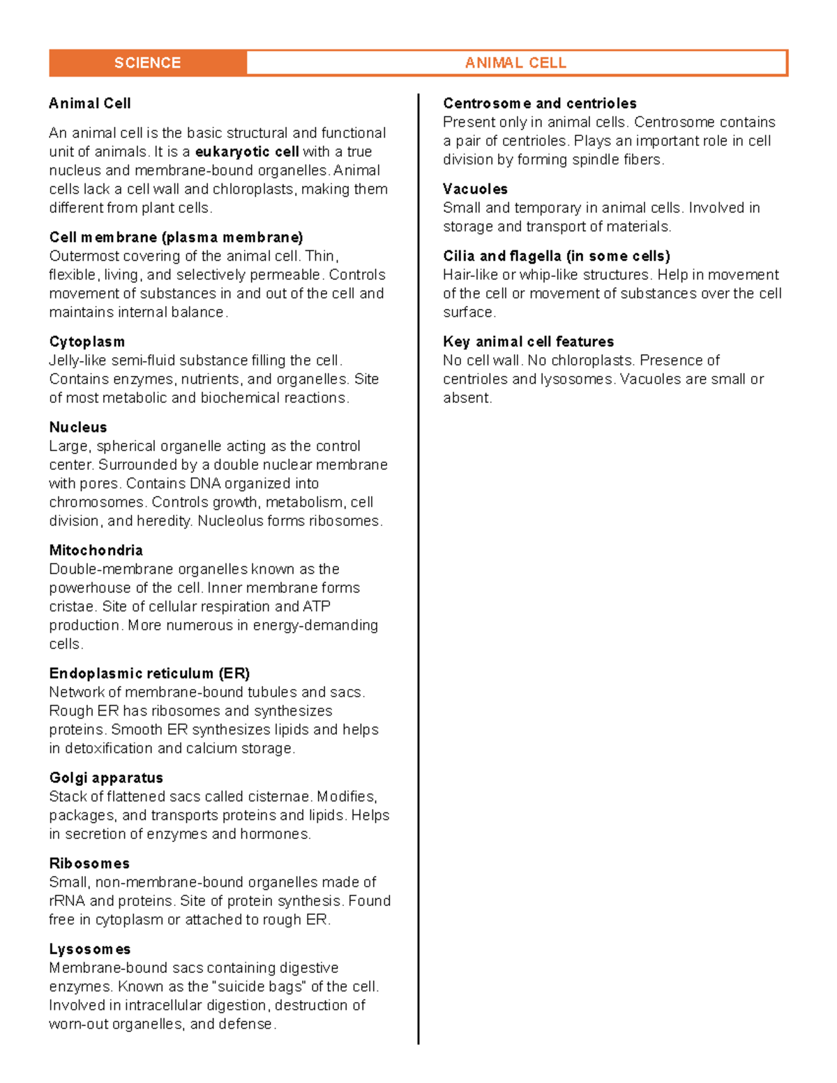 SCIENCE Animal Cell Structure and Function Overview - Studocu