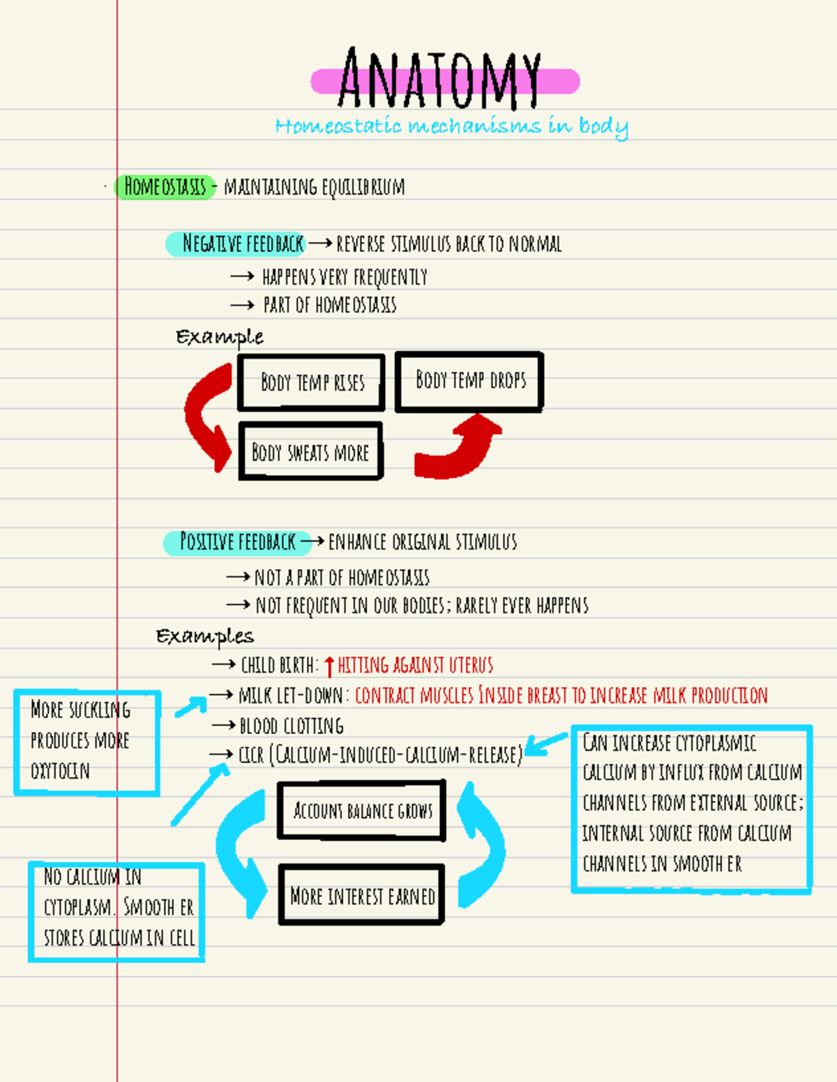 Anatomy Cheat Sheets- Exam 1 - Anatomy . Homeostasis - maintaining ...