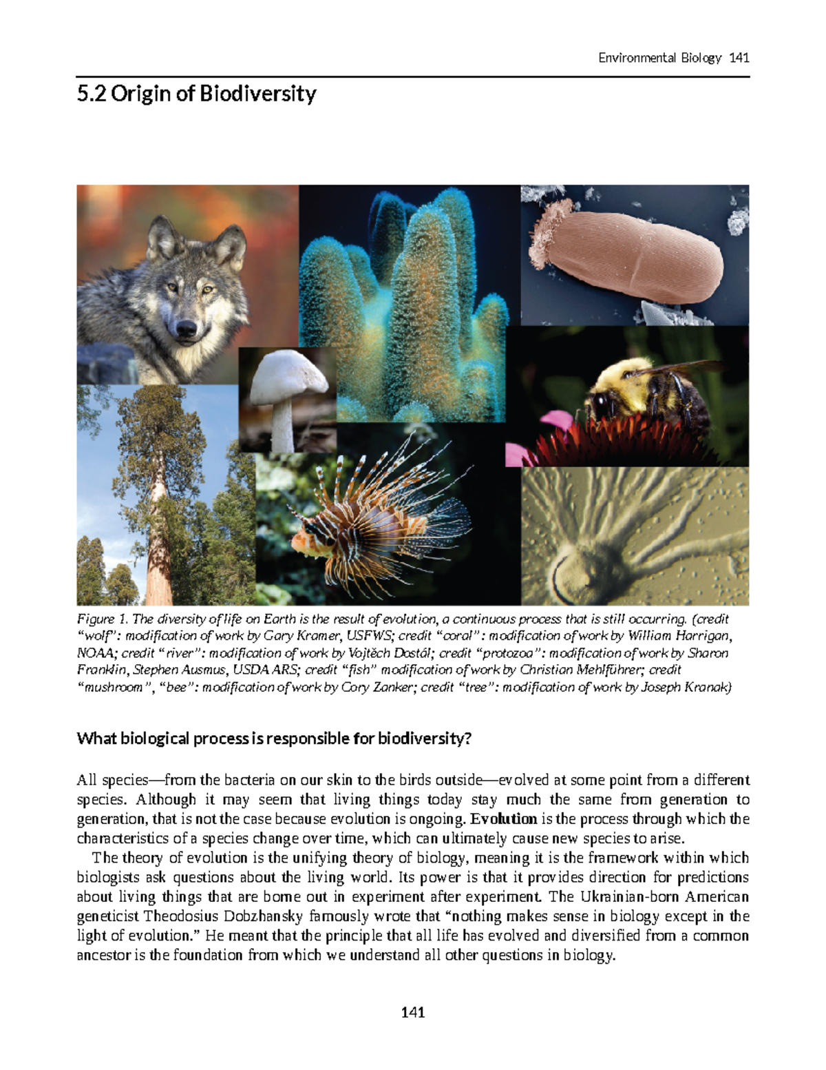 ENV 141: Charles Darwin & Natural Selection - Mechanism of Evolution ...
