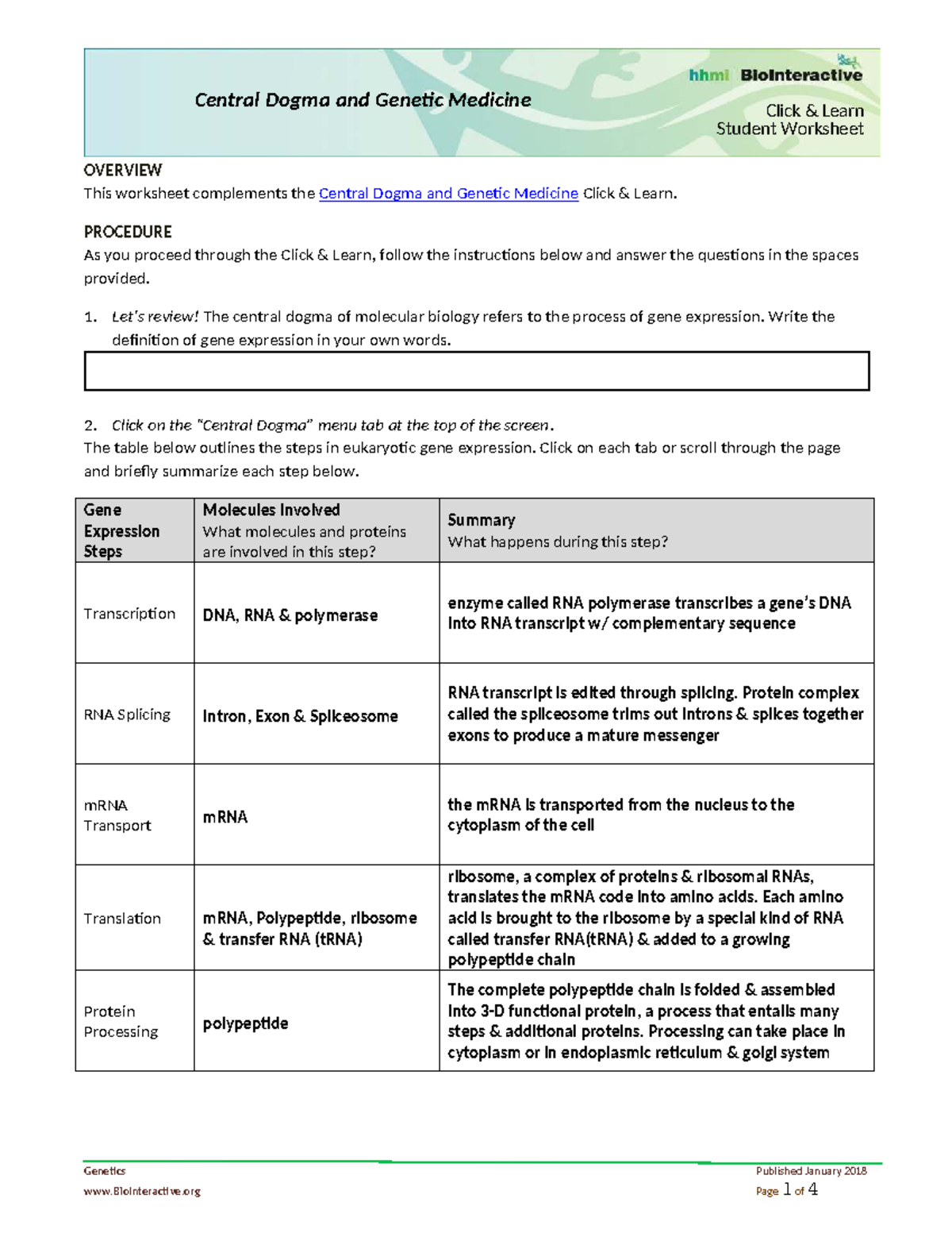 HHMI Central Dogma and Genetic Medicine student wksht fa23 - Click ...