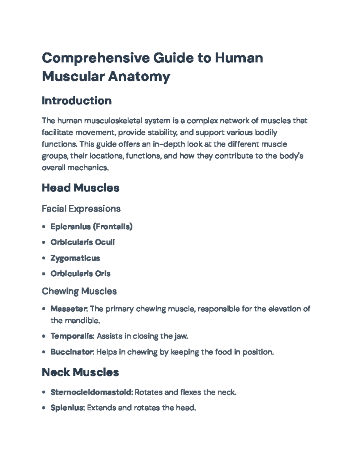 Comprehensive Guide to Human Muscular Anatomy: Key Muscle Groups - Studocu