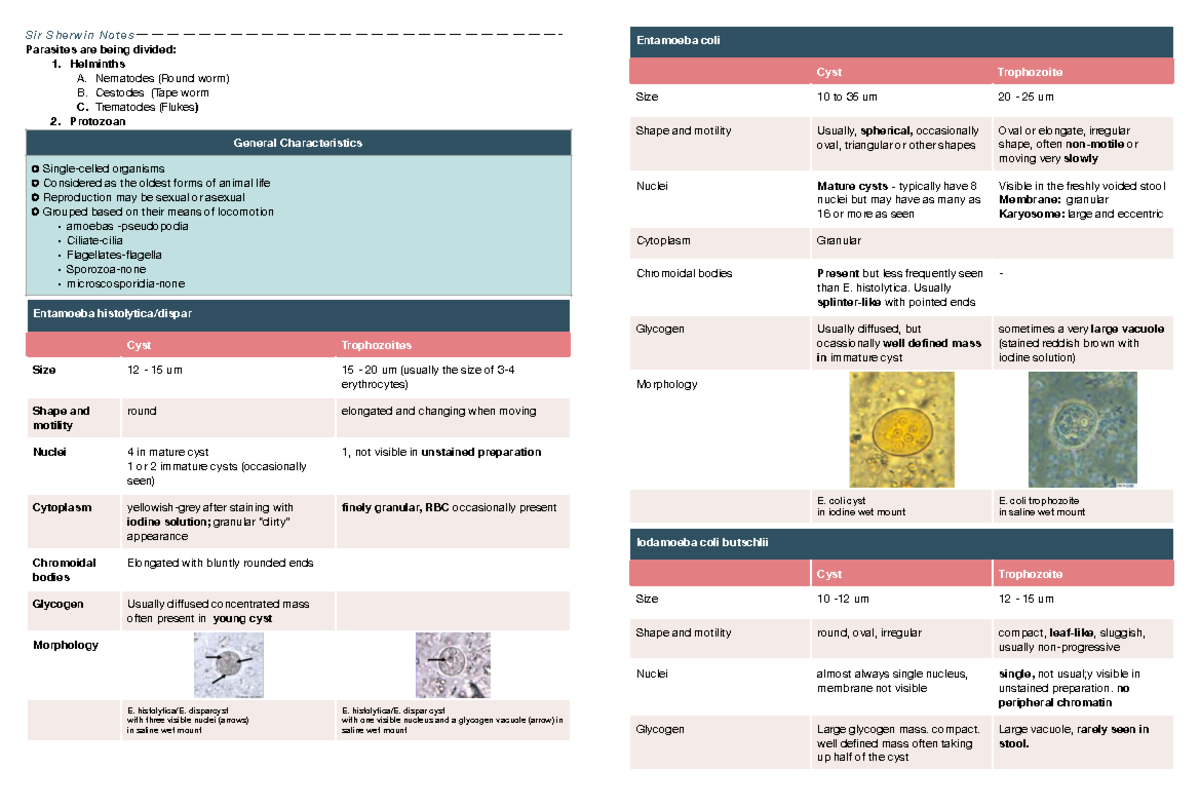 PARASITOLOGY NOTES: MEDTECH FINAL EXAM REVIEW - Studocu