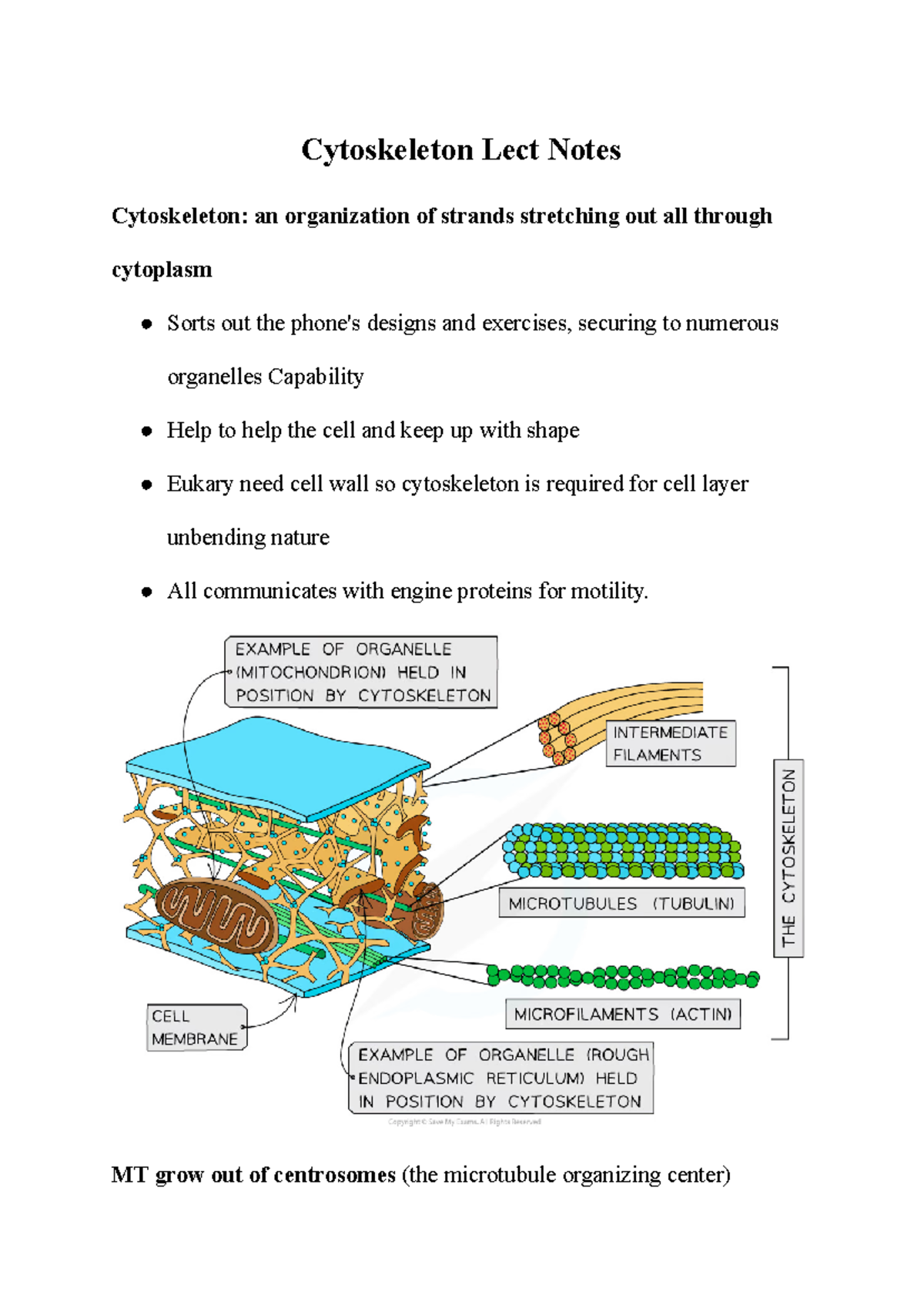 Cytoskeleton Lect Notes - Cytoskeleton Lect Notes Cytoskeleton: an ...