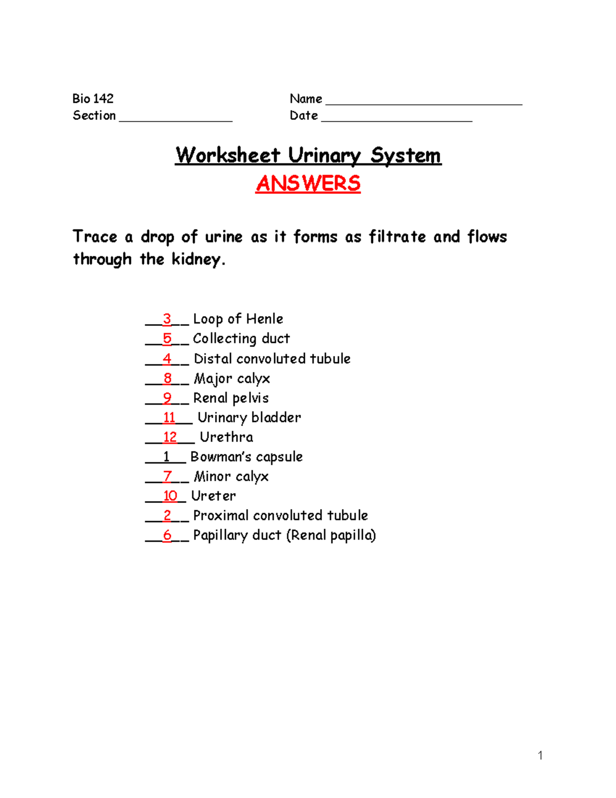 Bio 142 Urinary System Worksheet Answers & Urine Flow Tracing - Studocu