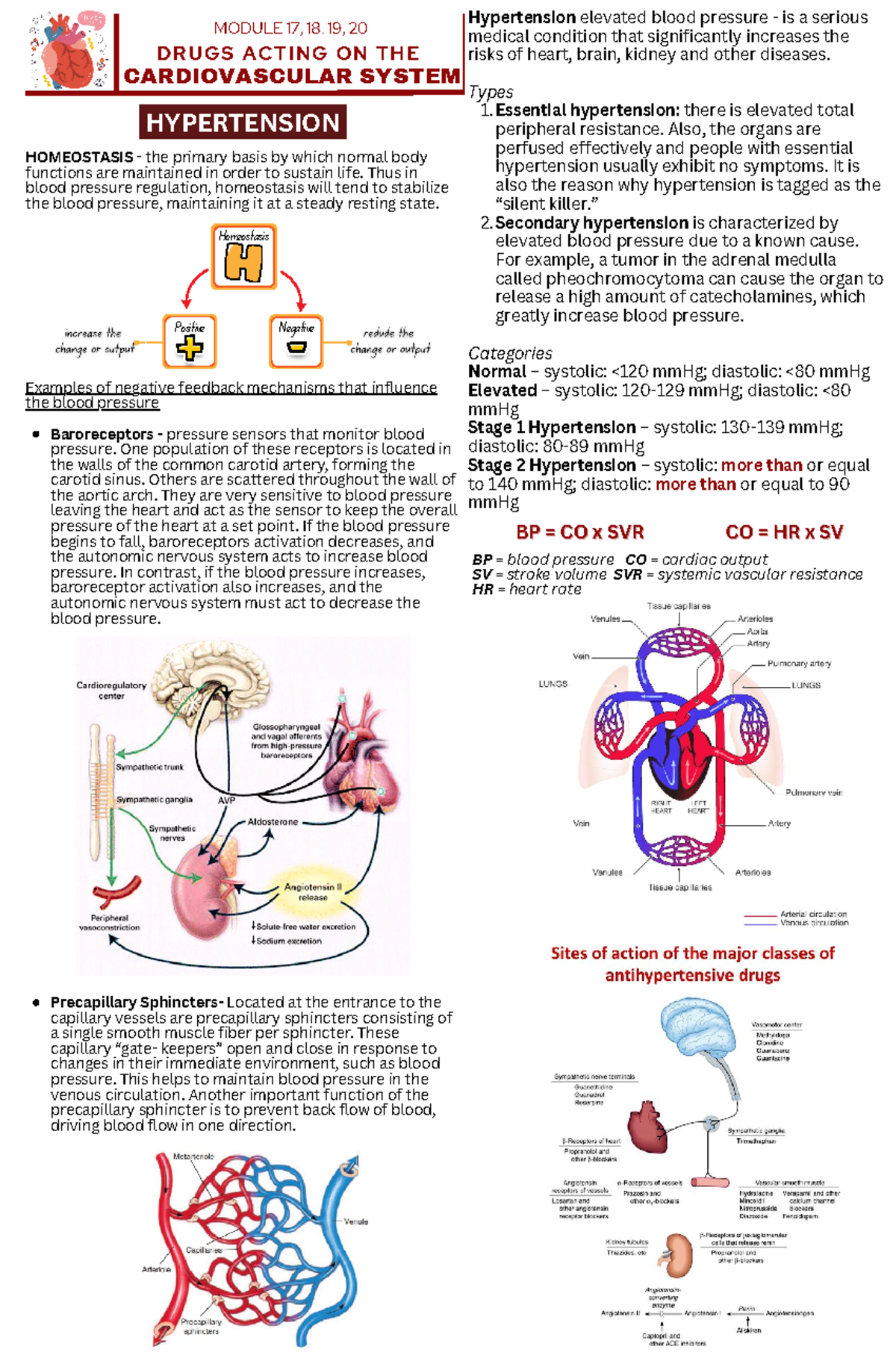 CVS Drugs - ........ - HOMEOSTASIS - the primary basis by which normal ...