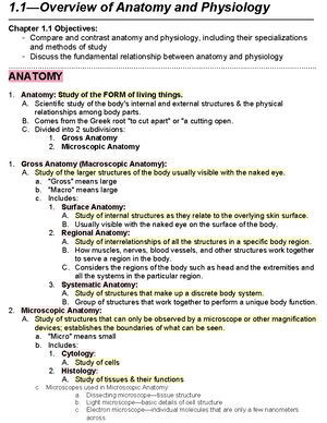 [Solved] Medical Word Hypertension Prefix Word Root Suffix Whole word ...