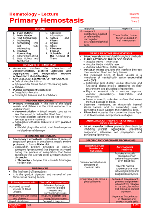 Bacteriology Flow Chart Identification of Bacteria - GRAM STAIN Gram ...