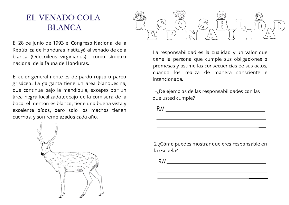 Descripción del Venado Cola Blanca: Símbolo Nacional de Honduras - Studocu