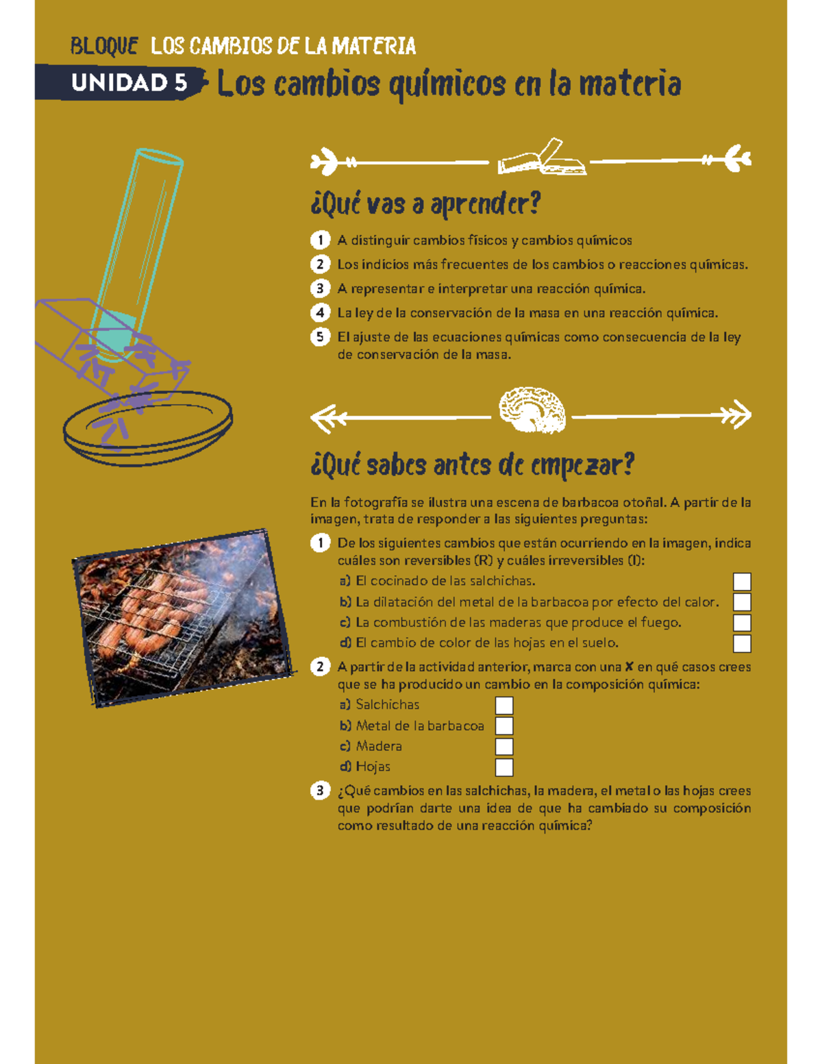 UNIDAD 5: Cambios Químicos en la Materia - Conceptos y Actividades ...
