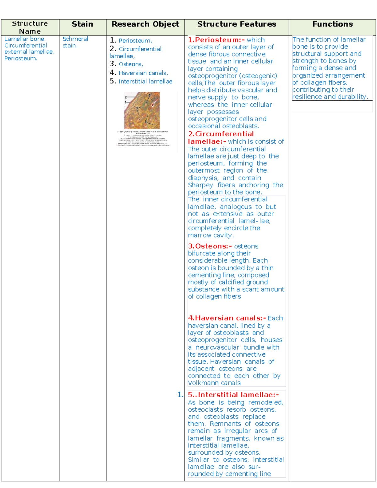 Lamellar Bone & Periosteum: Structure & Function Overview - Studocu