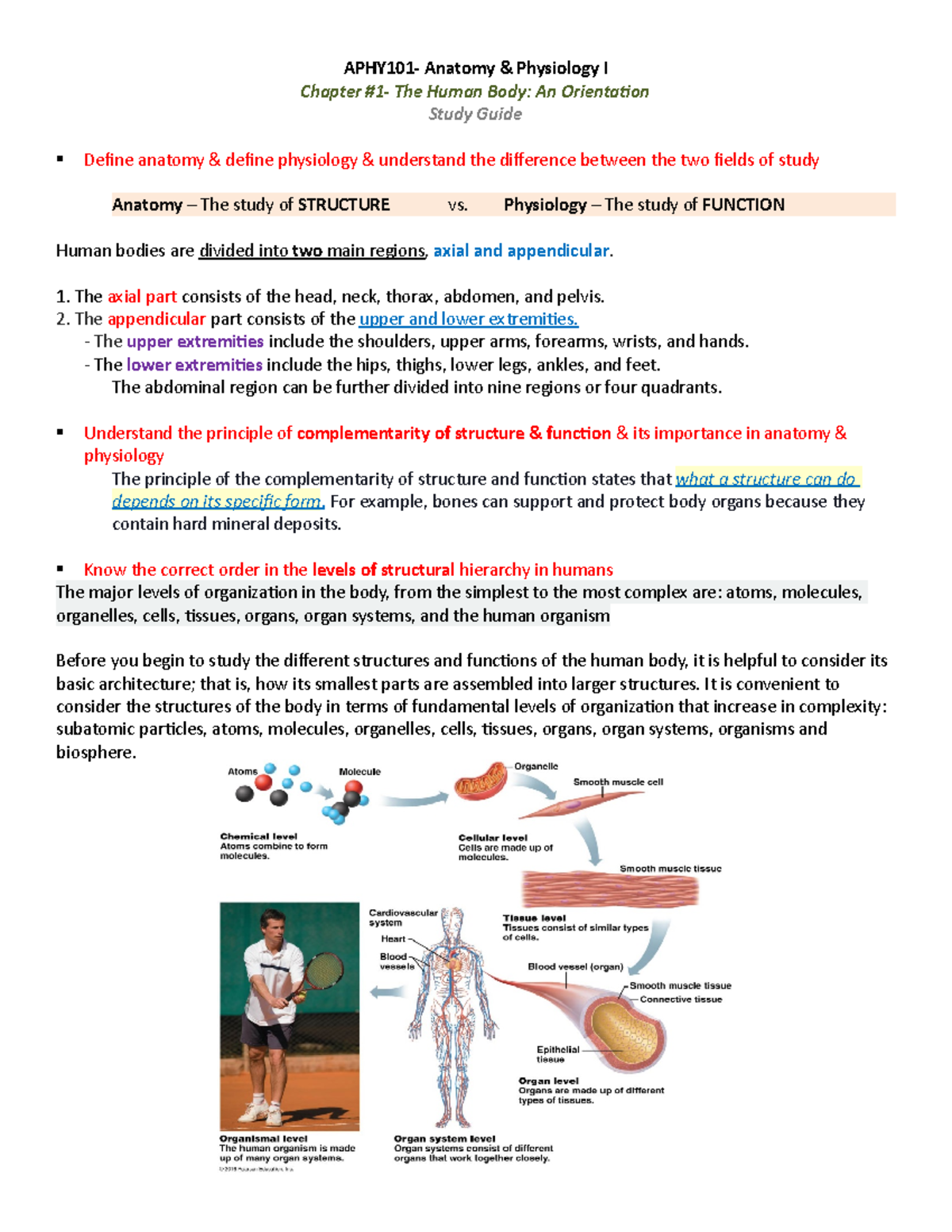 APHY101 - Anatomy & Physiology I: Chapter 1 Study Guide on Human Body ...