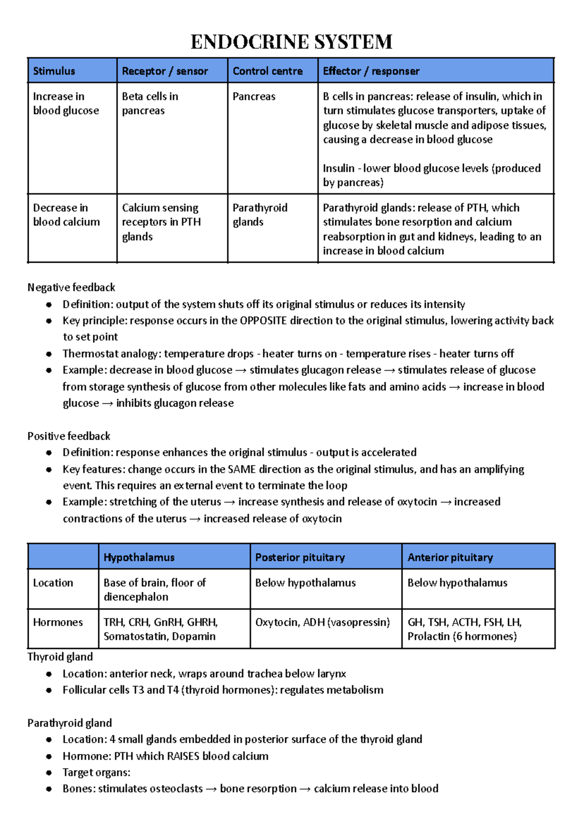 PBHM Exam 2 Summary Notes on Endocrine & Respiratory Systems - Studocu
