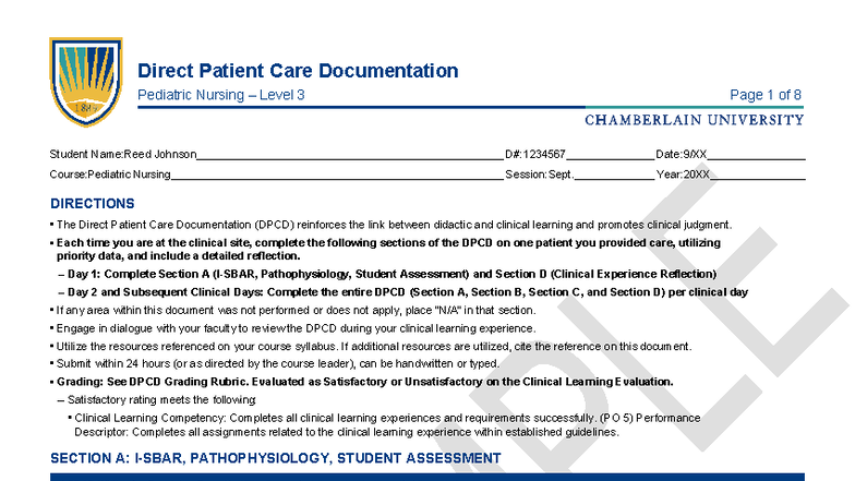 DPCD Example for Pediatric Nursing Level 3: Patient Care Reflection ...