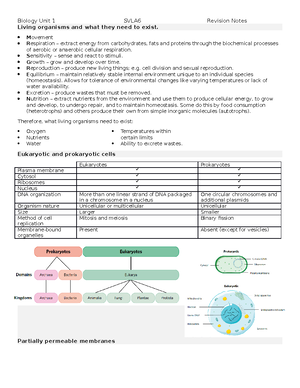 Biology UNIT 1 Outcome 2 DOT Point 1 - plant vascular systems - UNIT 1 ...