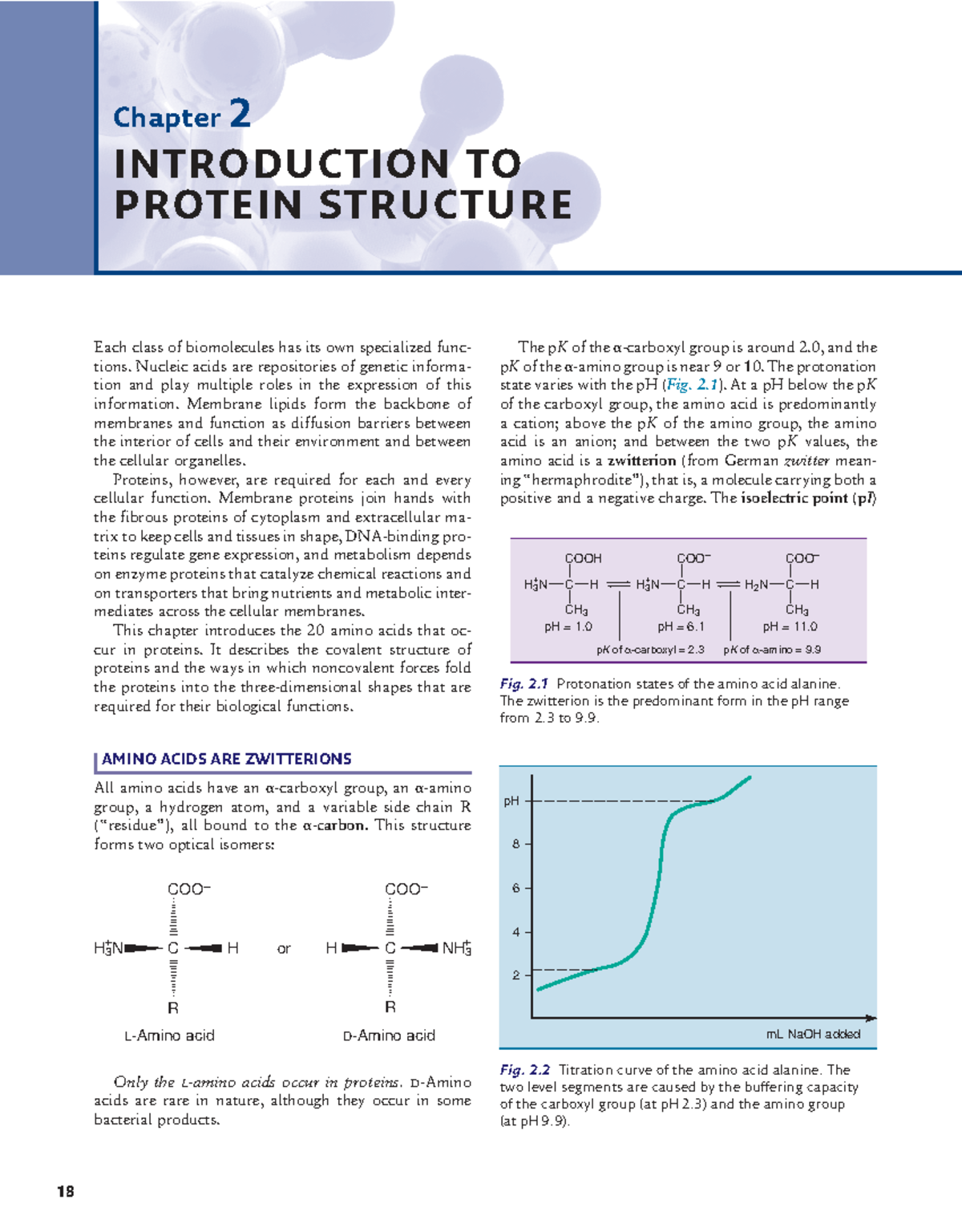 Chapter 2: Introduction to Protein Structure (BIOC 2) - Studocu